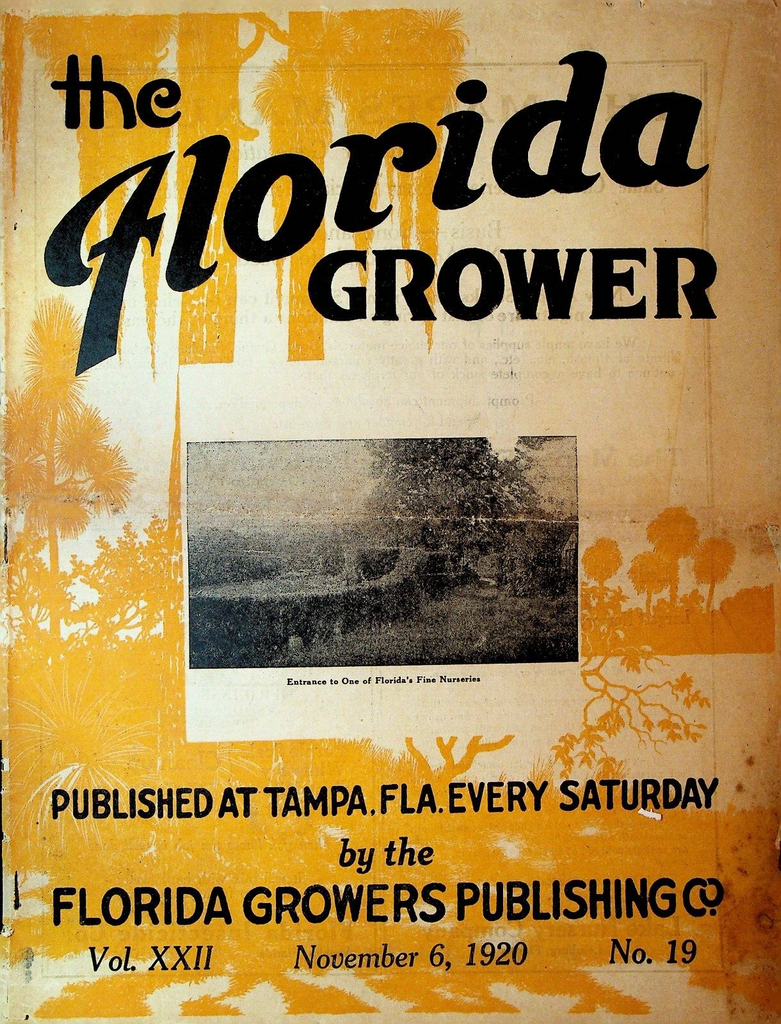 Florida Grower Magazine November 6 1920 Agriculture Citrus – Papergoy