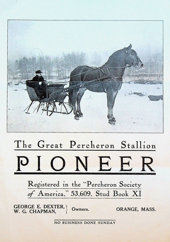 Pioneer the Great Percheron Stallion Ad Sheet Orange Mass Dexter & Cha ...